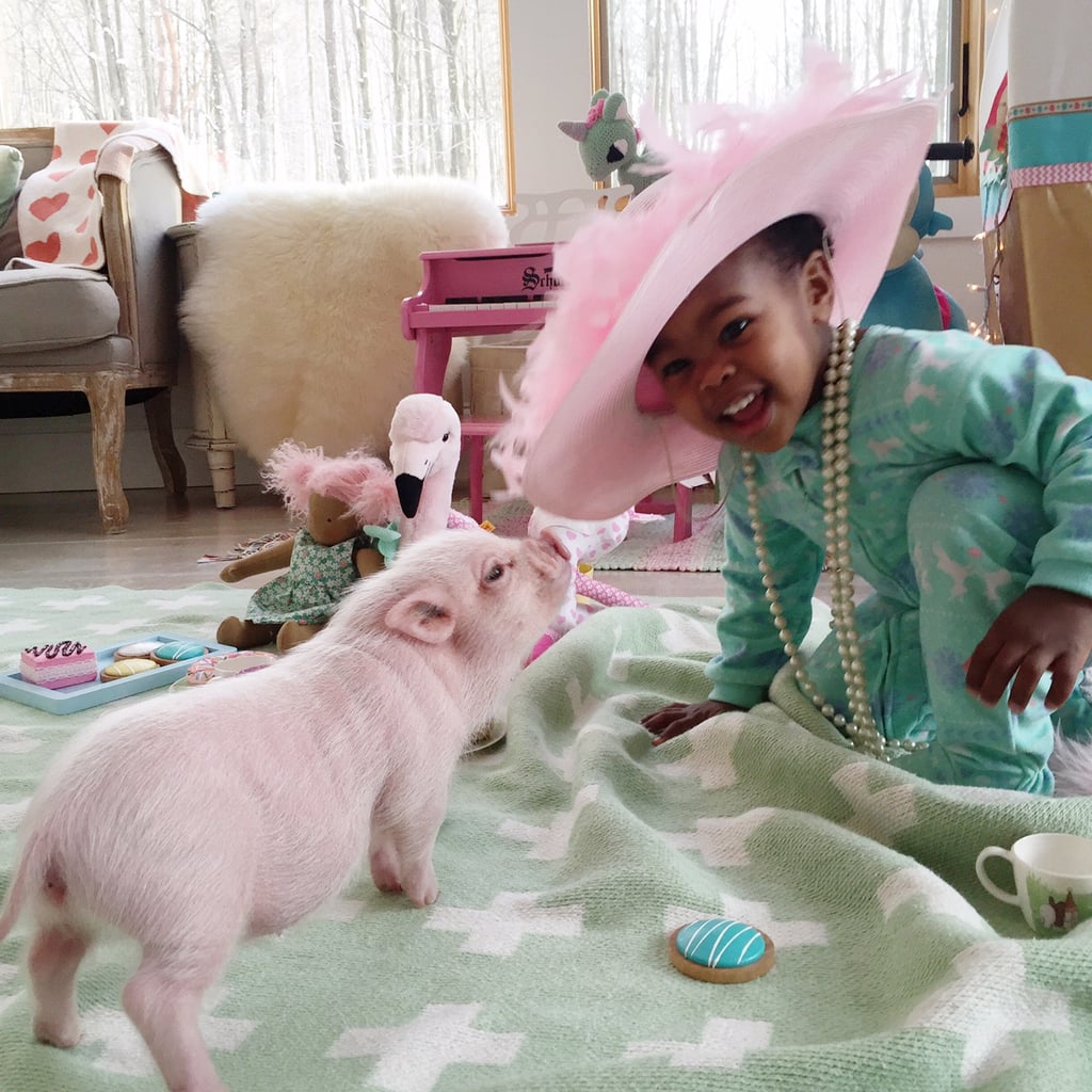 Adorable Pictures of a Toddler and Her Pet Pig | POPSUGAR Family
