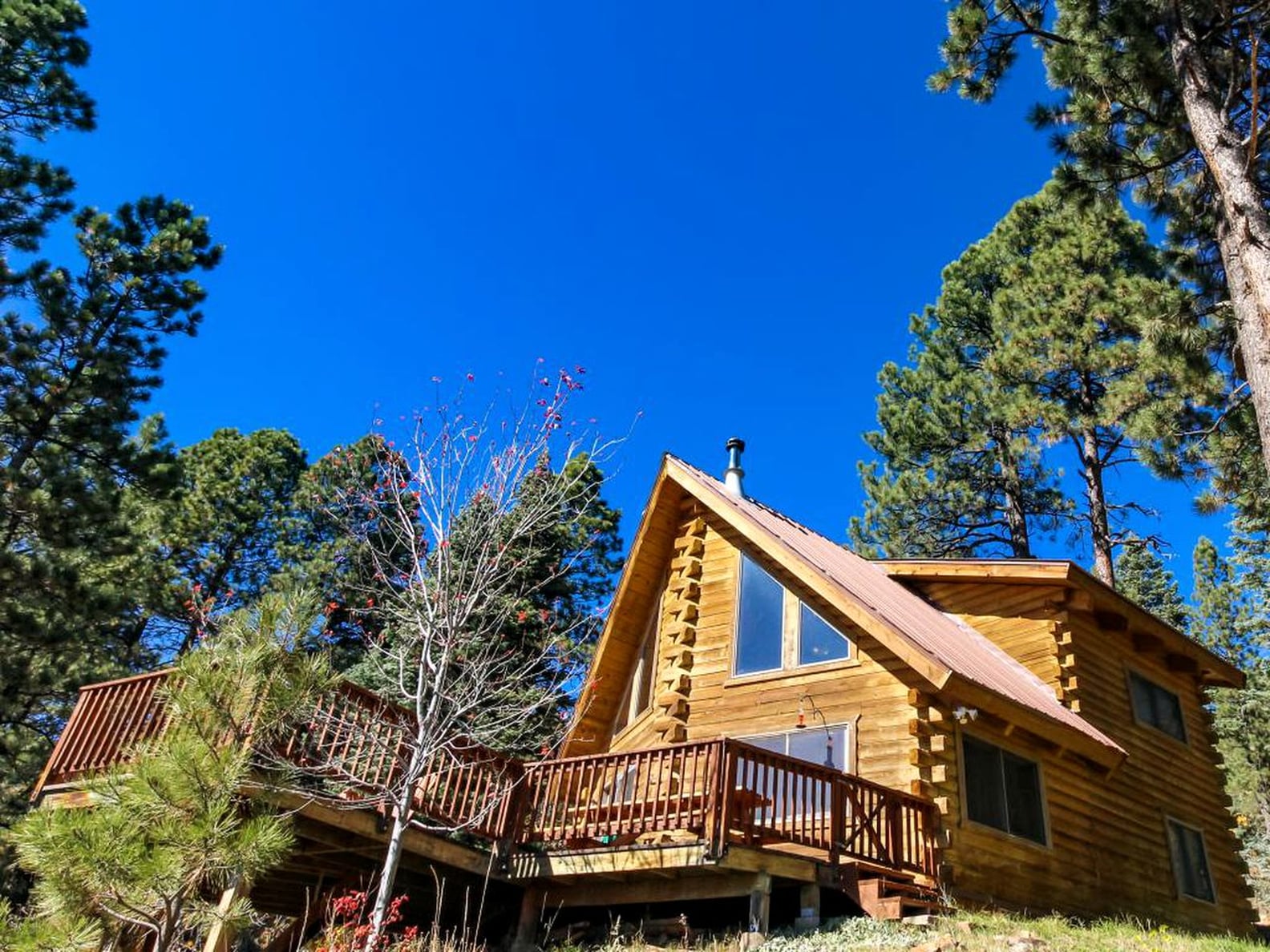 35 Charming Remote Cabin Rentals Across the US | PS Smart Living
