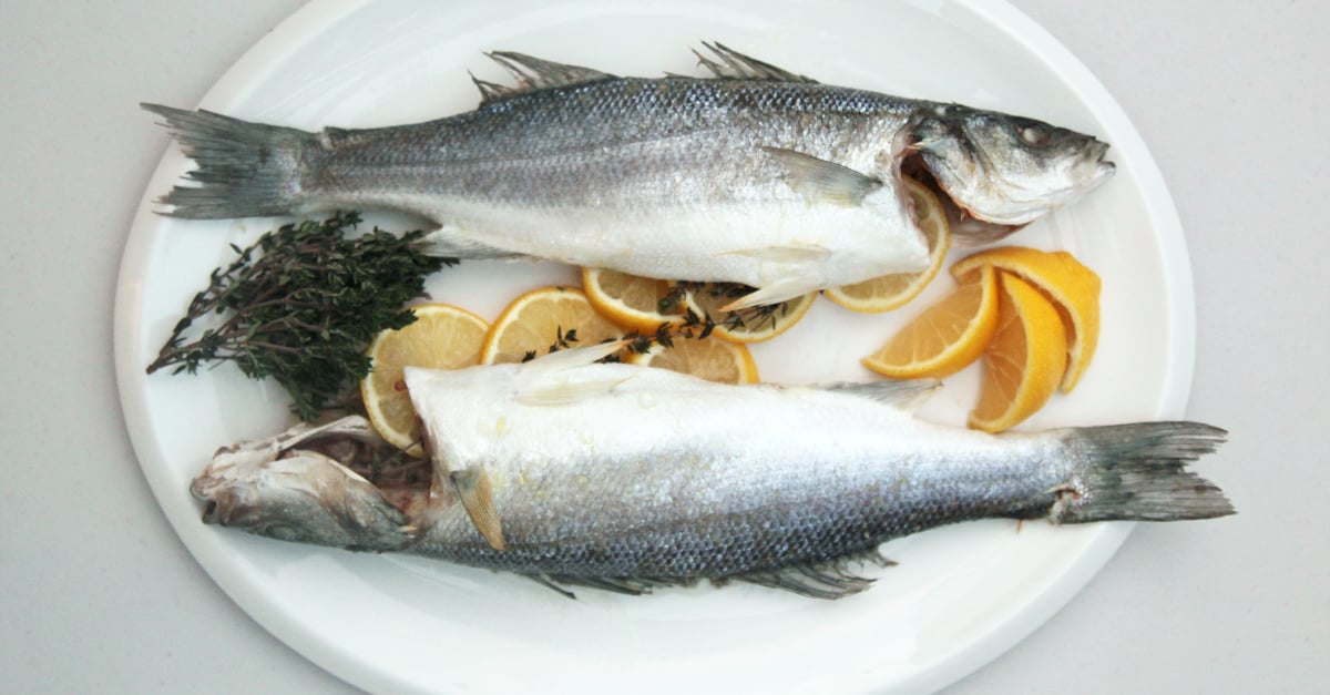 Double Protein Intake to Lose Weight, Study Says | PS Fitness