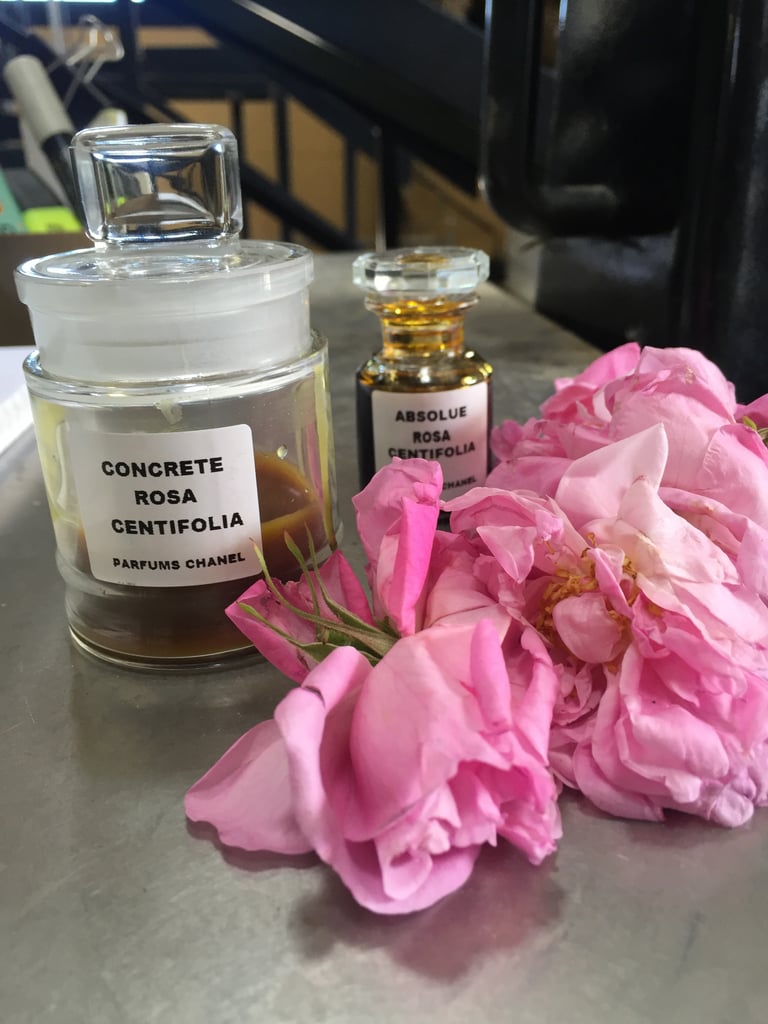 Chanel No. 5 L'eau | POPSUGAR Beauty