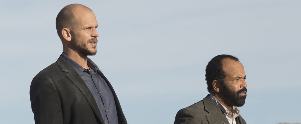 Who Is Peter Abernathy in Westworld? | POPSUGAR Entertainment