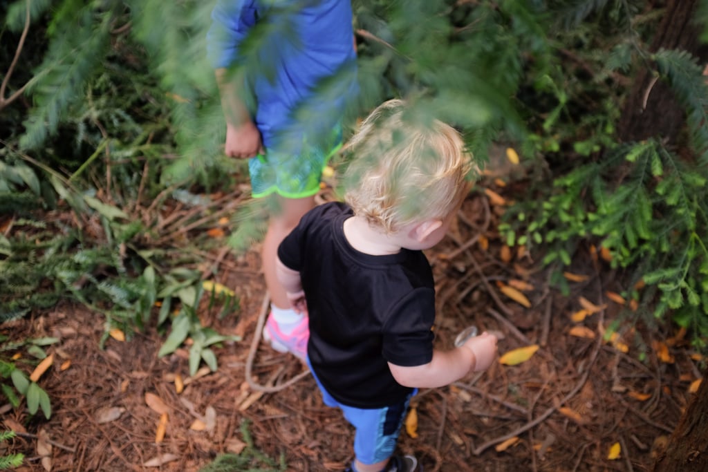 Outdoor Learning Activities | POPSUGAR Family