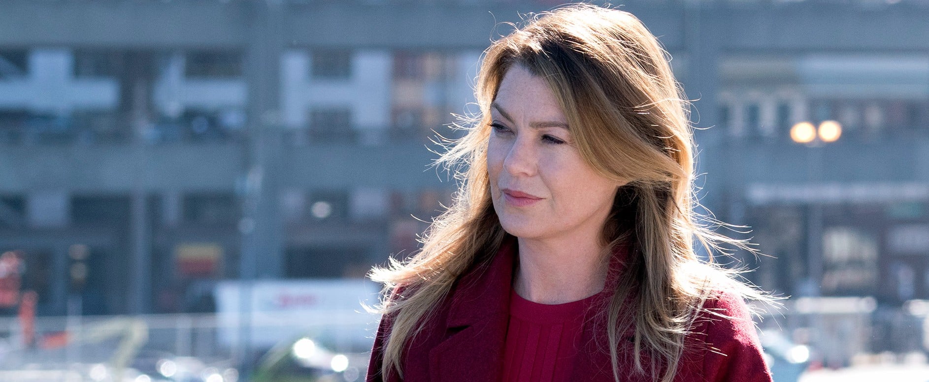 what-does-grey-s-anatomy-mean-popsugar-entertainment