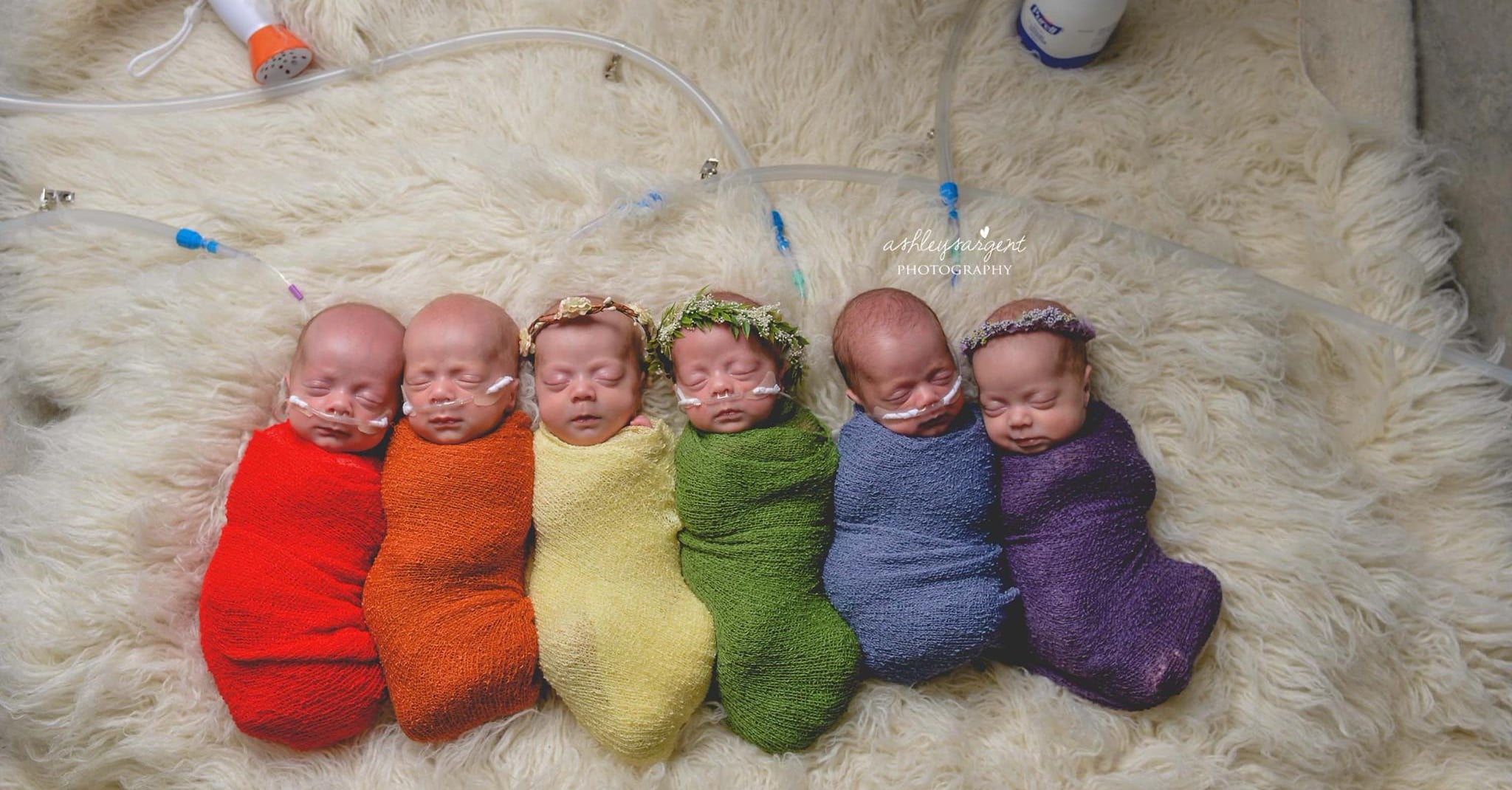 Rainbow Sextuplets Photo Shows Babies' Birth Order | PS Family