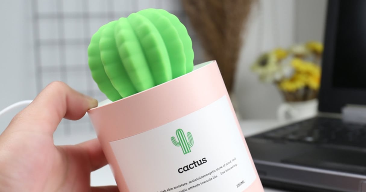 Portable Cactus Humidifier | PS Smart Living