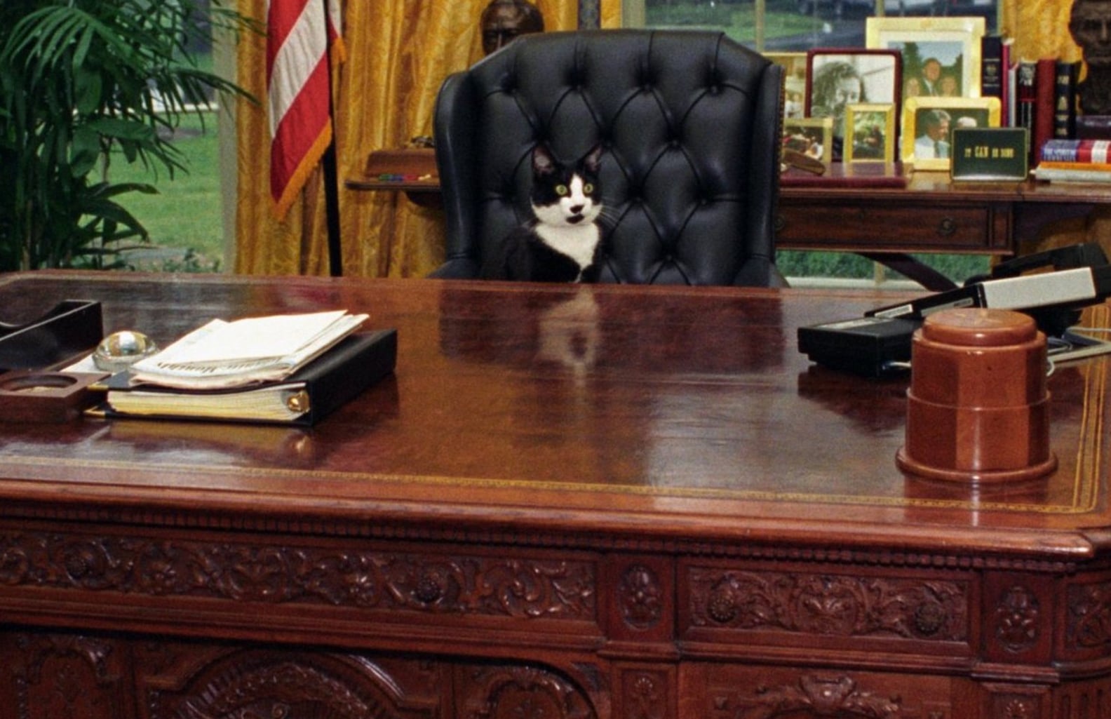 If My Pet Ran For President Hashtag | POPSUGAR Family