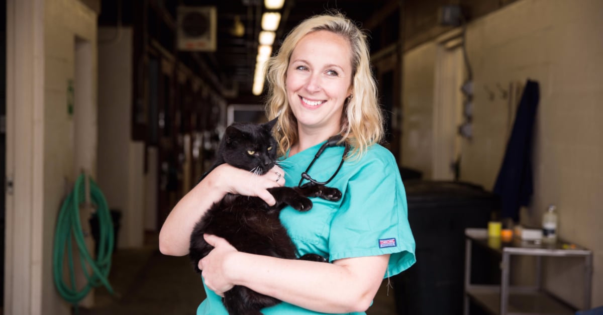 Animal Planet's Life at Vet U Interview | PS Money