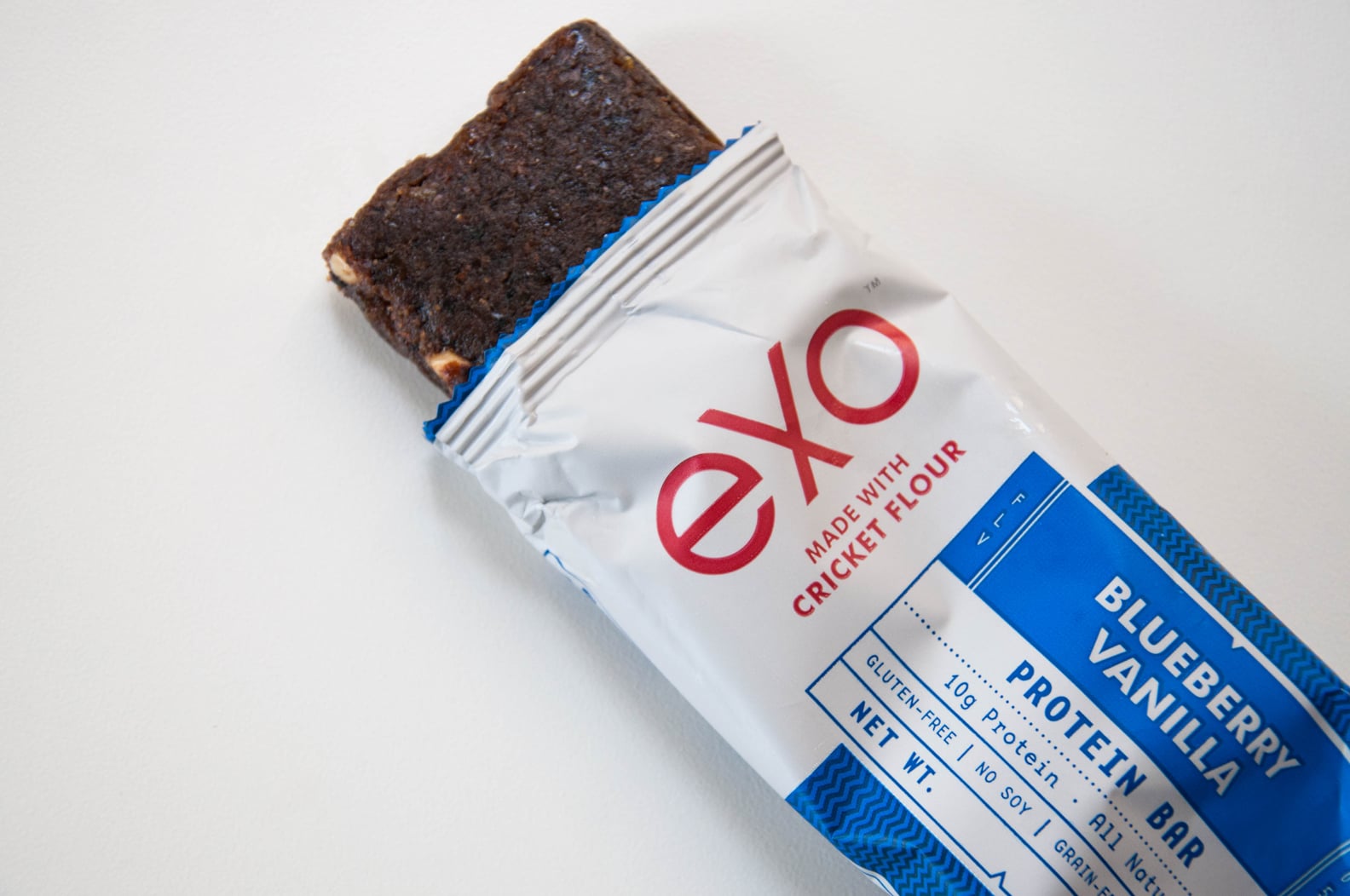 What Does Cricket Protein Taste Like | PS Fitness