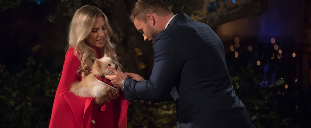 Who Is Cassie Randolph on The Bachelor? | POPSUGAR Entertainment