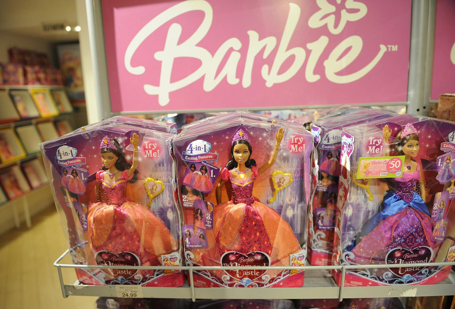 Barbie's Family and Friends | PS Entertainment