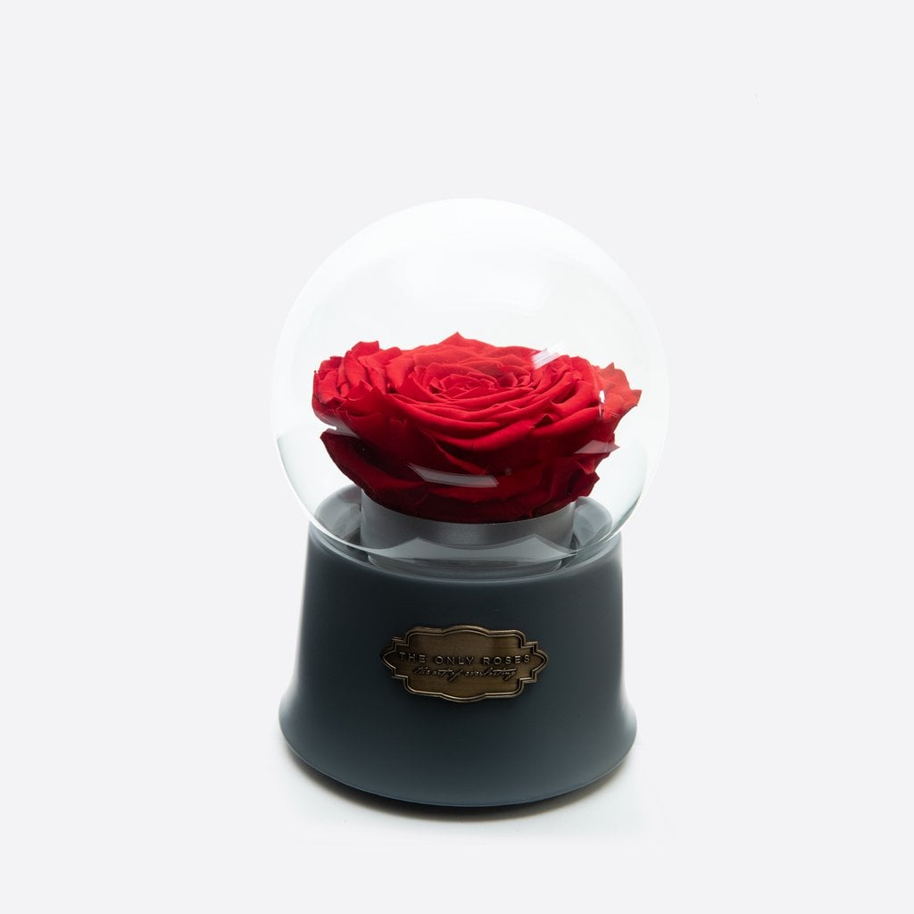 Where to Buy Rose Globes For Valentine's Day | POPSUGAR Love & Sex