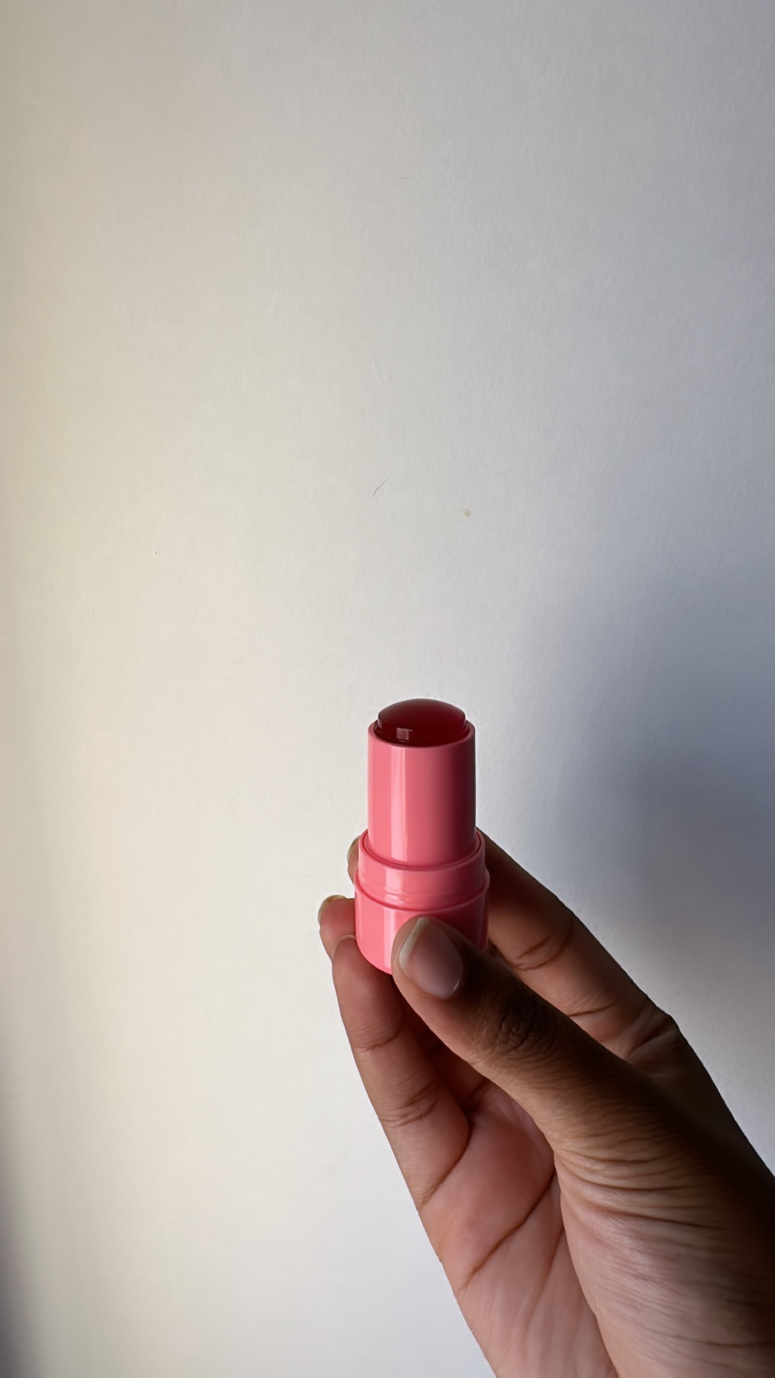 Milk Jelly Tint Lip and Cheek Blush Review With Photos | PS Beauty