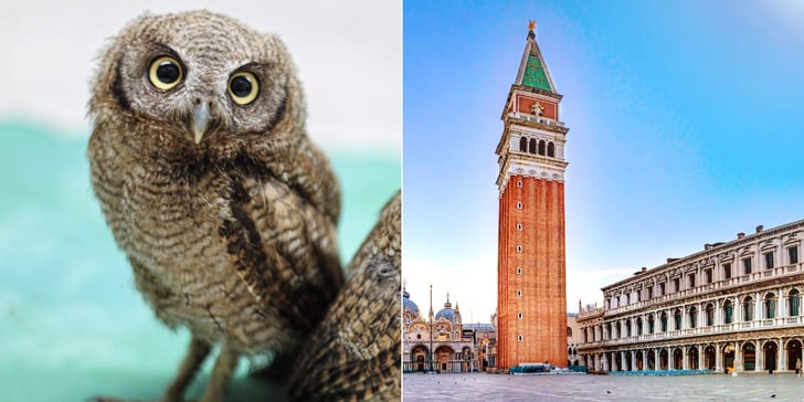 The Best Amazon Explore Experiences | POPSUGAR Smart Living