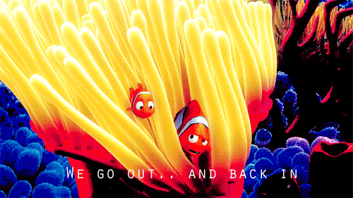 Finding Nemo GIFs | PS Entertainment
