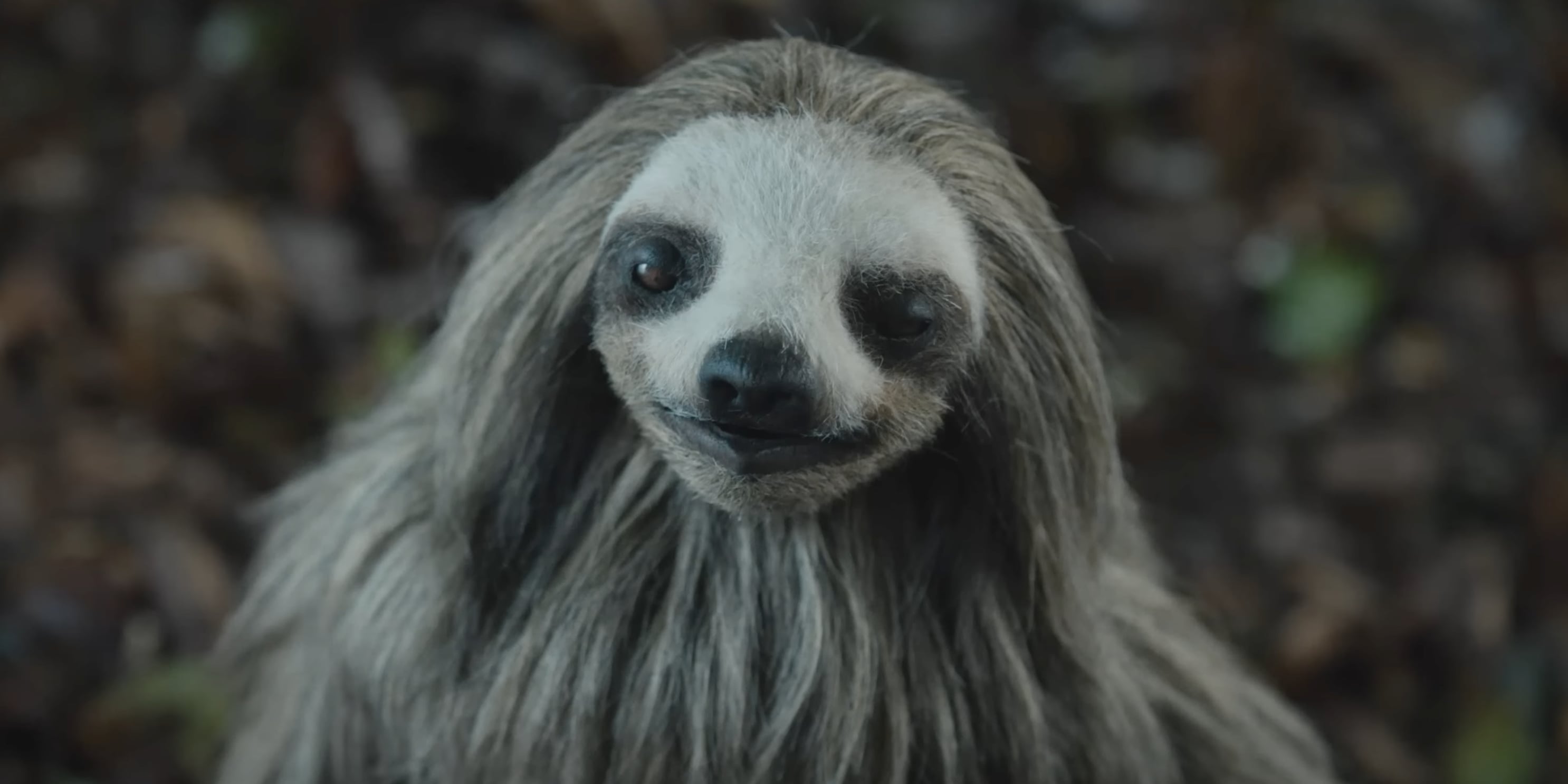 Slotherhouse Killer Sloth Movie: Trailer, Cast, Release Date | POPSUGAR ...
