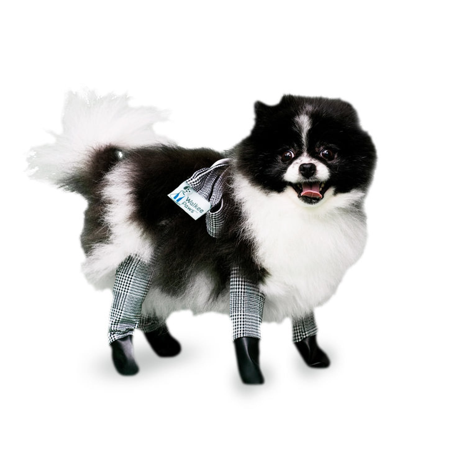 Leggings For Dogs | PS Family