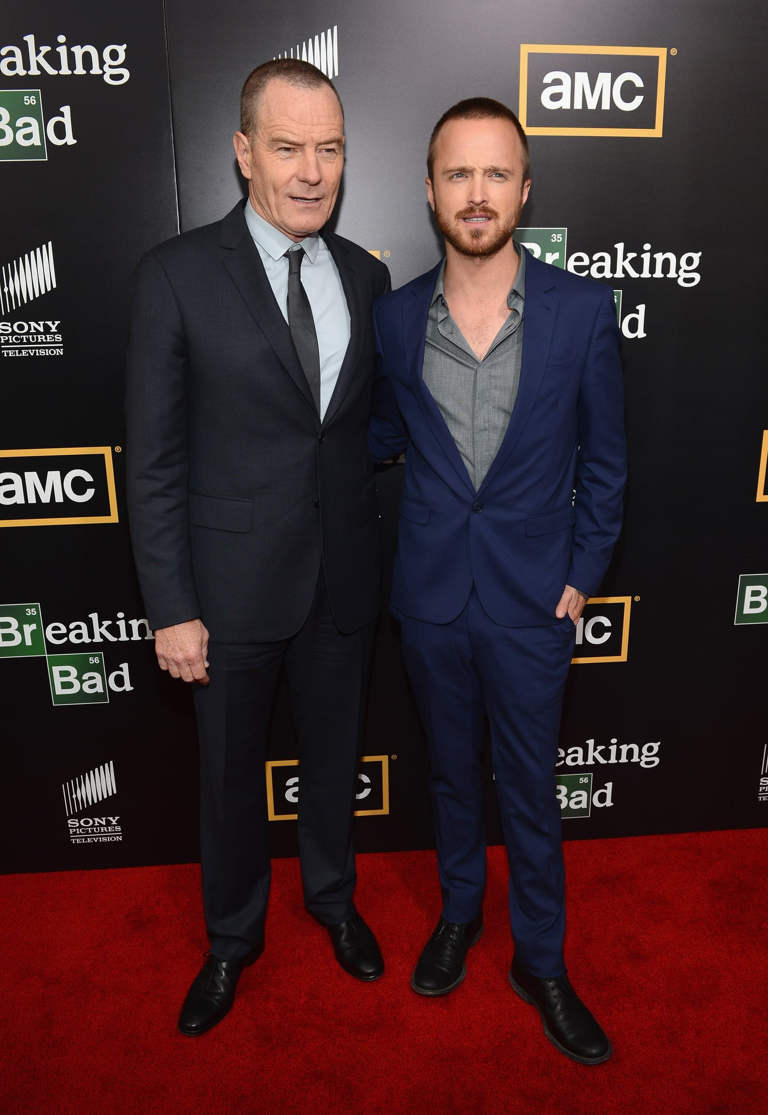 Breaking Bad Cast on the Red Carpet Over the Years Photos | PS Celebrity