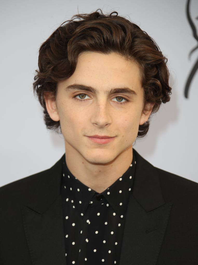 Timothée Chalamet as Paul Atreides | Dune Movie Cast | POPSUGAR ...