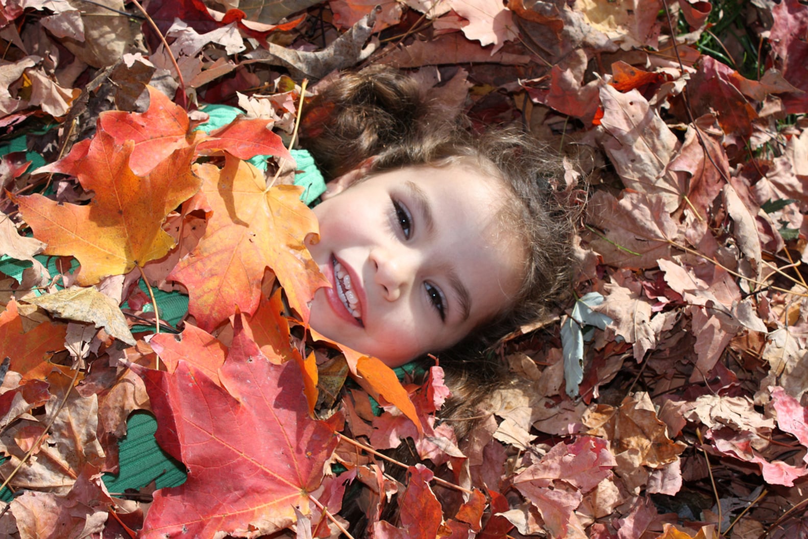 Fall Leaves Kid Photo Inspiration | PS Family