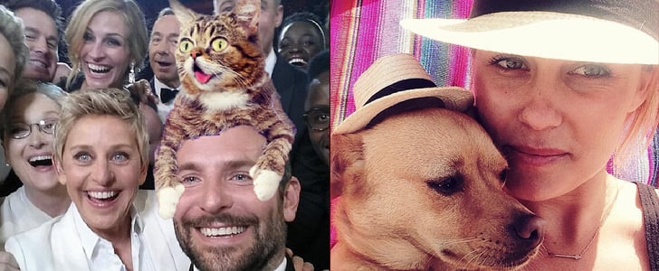 Celebrity Pets I March 2014 | POPSUGAR Pets
