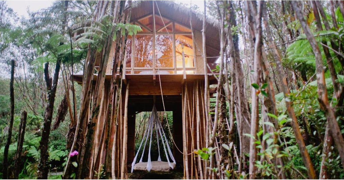 Tree House in Hawaii | POPSUGAR Smart Living