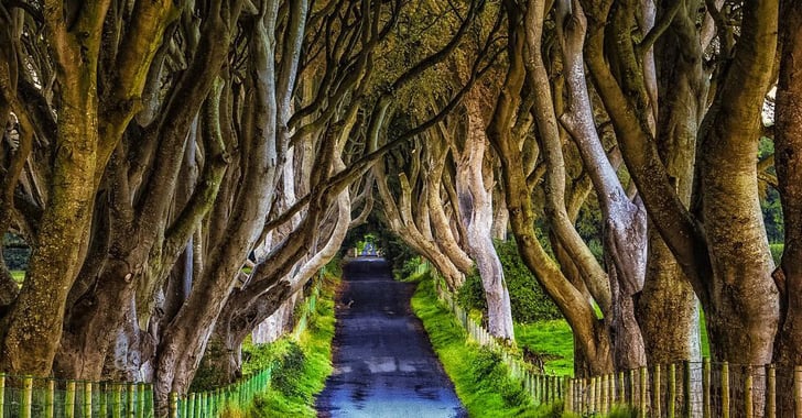 Photo of Northern Ireland | POPSUGAR Smart Living