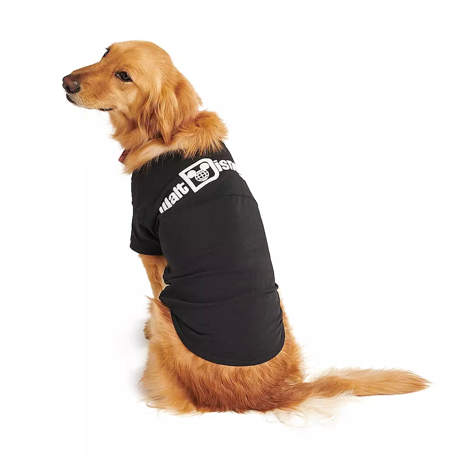 Shop Disney's Spirit Jerseys For Dogs | PS Pets