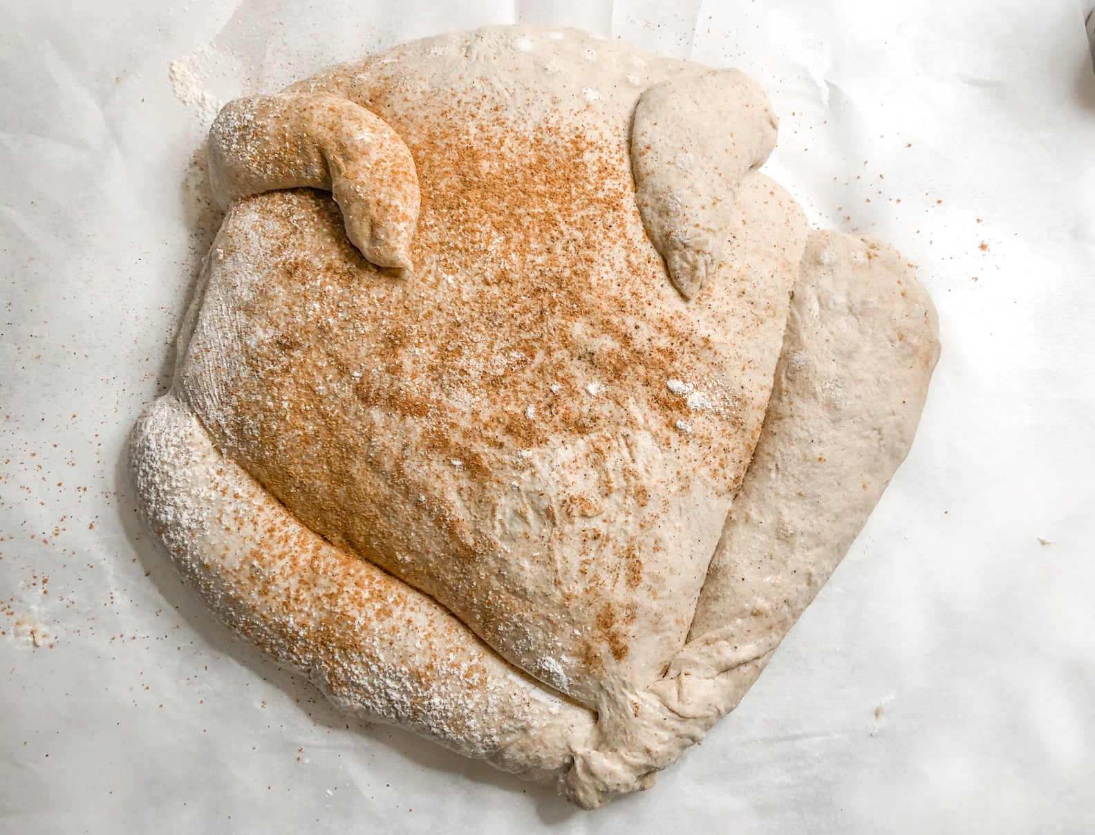 Thanksgiving Sourdough Turkey Loaf Recipe With Photos | PS Food