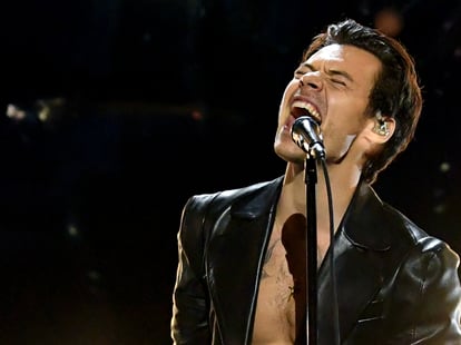 Harry Styles Halloween Costume 2022 | POPSUGAR Celebrity
