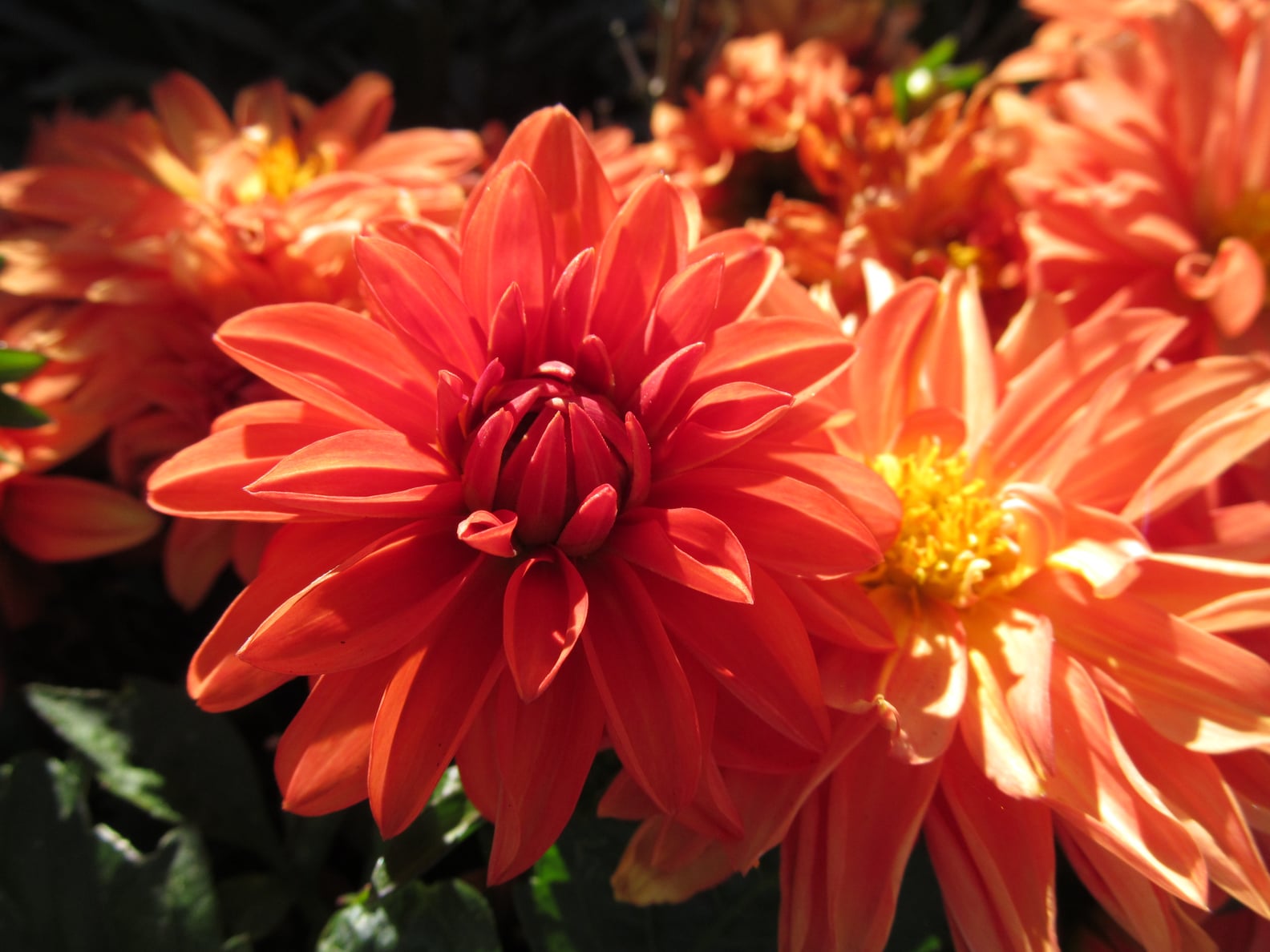 How to Take the Ktestone Color Personality Test | PS Balance