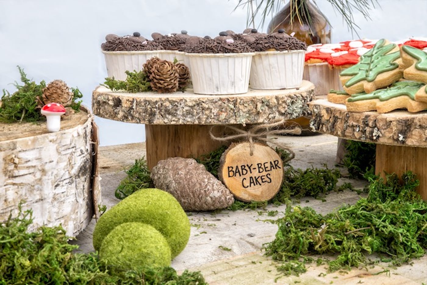 Wilderness-Themed Birthday Party | POPSUGAR Family