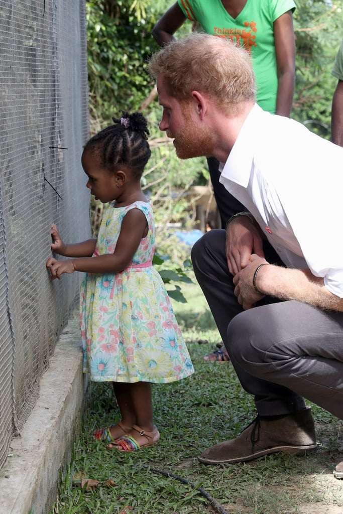 Prince Harry at Nature Fun Ranch in Barbados December 2016 | POPSUGAR ...