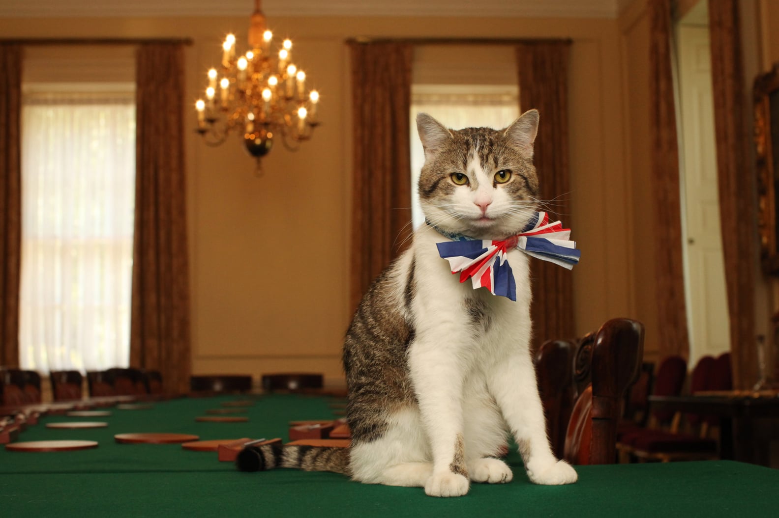 Do Any Royals Have Cats? | PS Celebrity