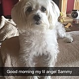 Victoria Justice on Snapchat | POPSUGAR Latina