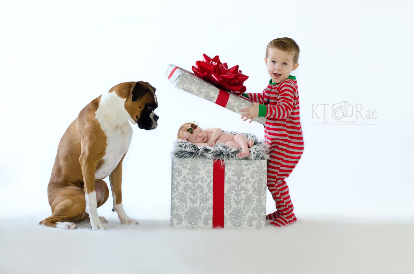 Adorable Baby and Puppy Christmas Picture Ideas | PS Family