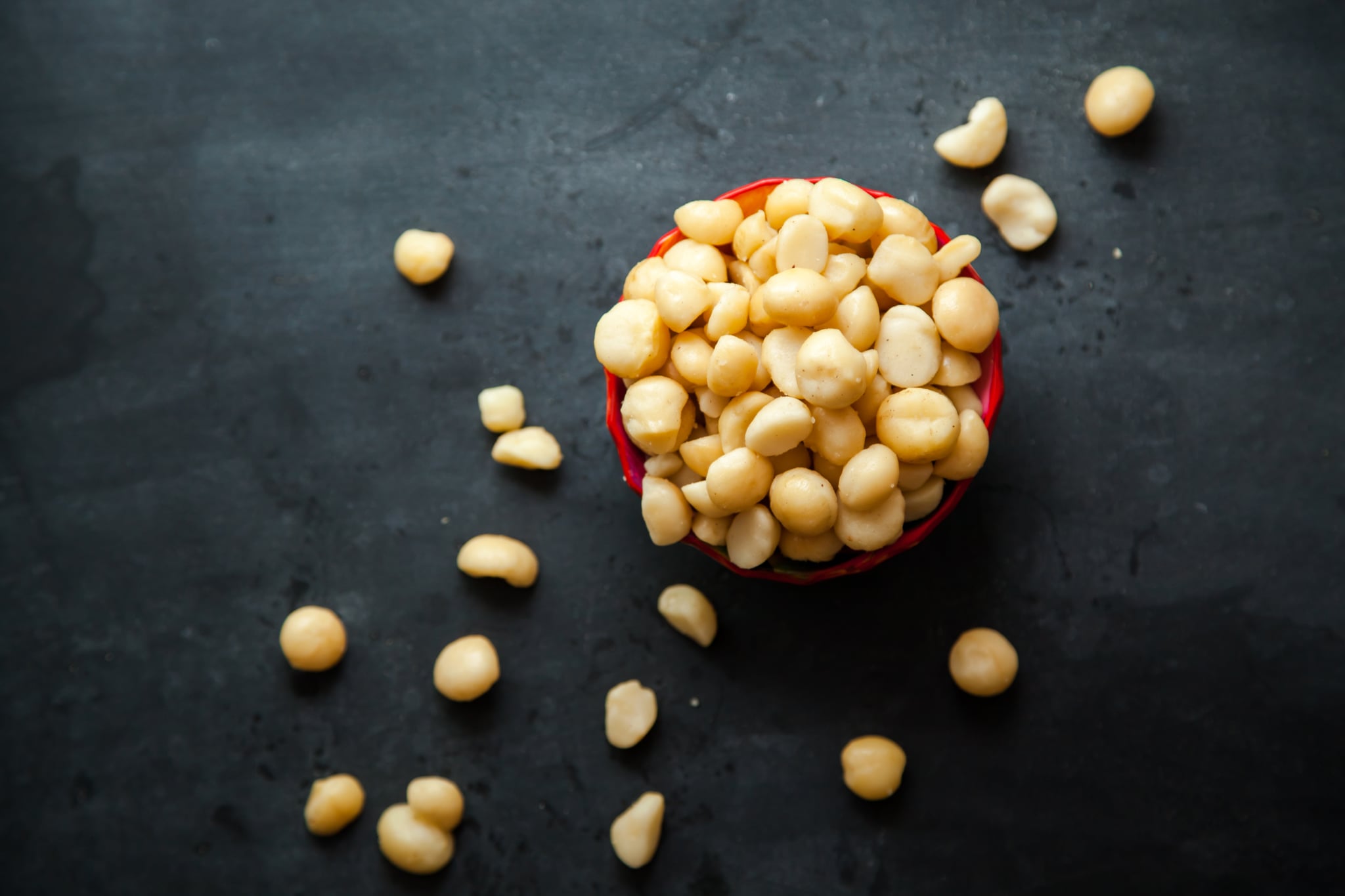 Are Macadamia Nuts Safe For Dogs
