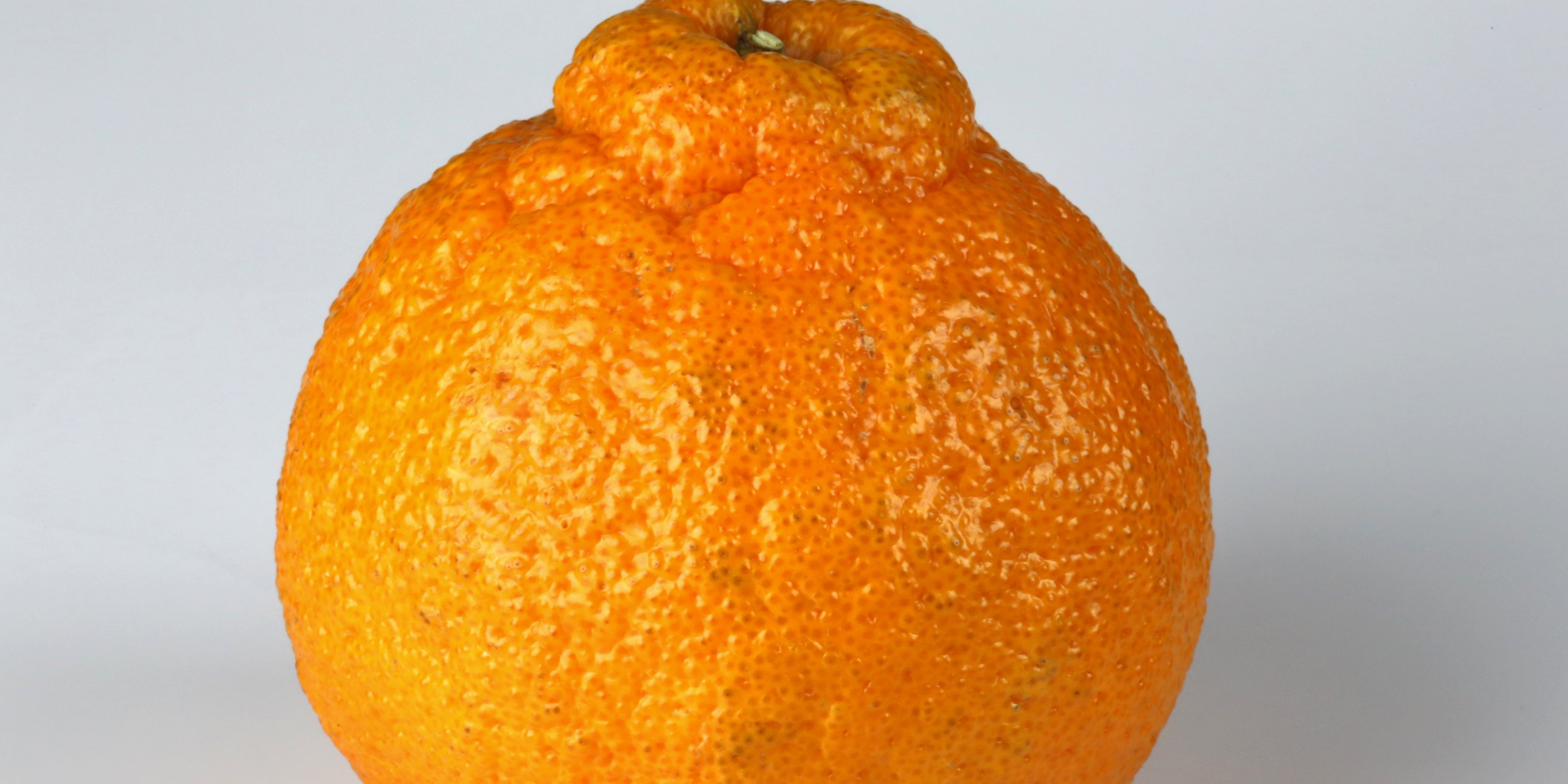 Sumo Oranges Are in Season Again, So Get Them While You Can | POPSUGAR Food