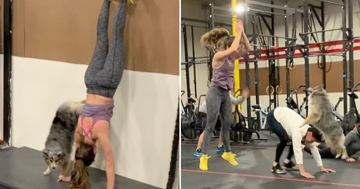 Watch an Australian Shepherd Do Burpees and Wall Stands | POPSUGAR Pets