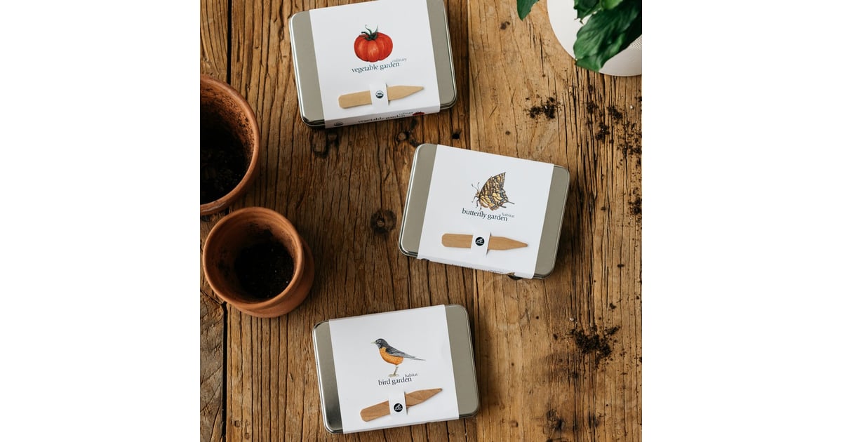 Garden Maker Kit | Best Gardening Gifts 2019 | POPSUGAR Home UK Photo 16