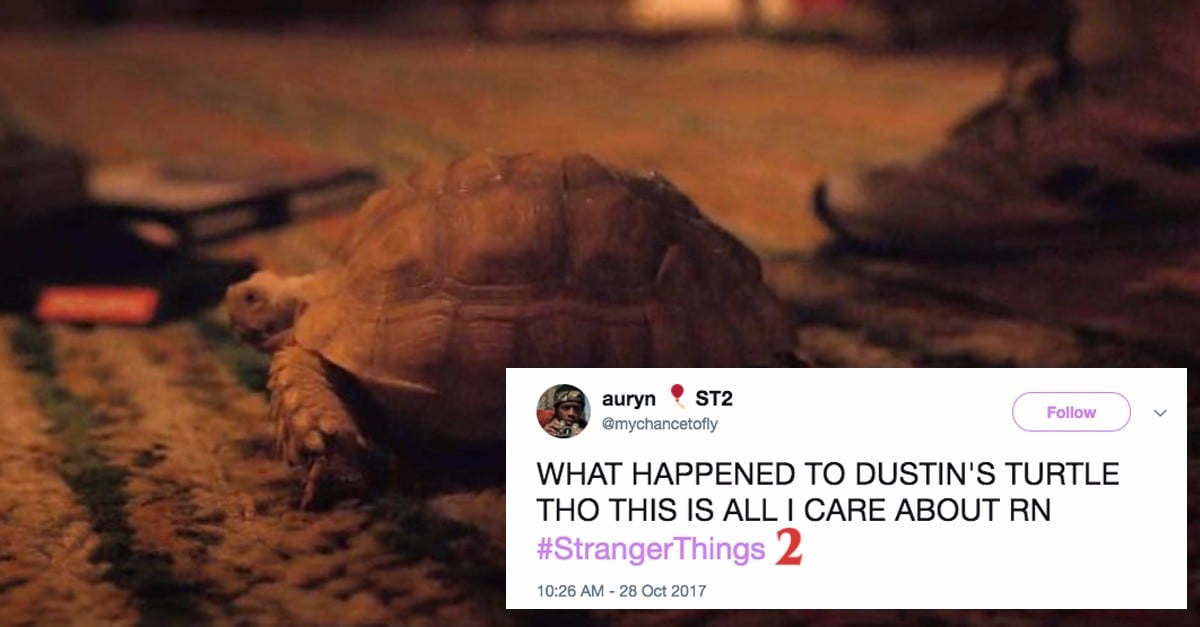 Did Dustin's Turtle Die on Stranger Things? | PS Entertainment