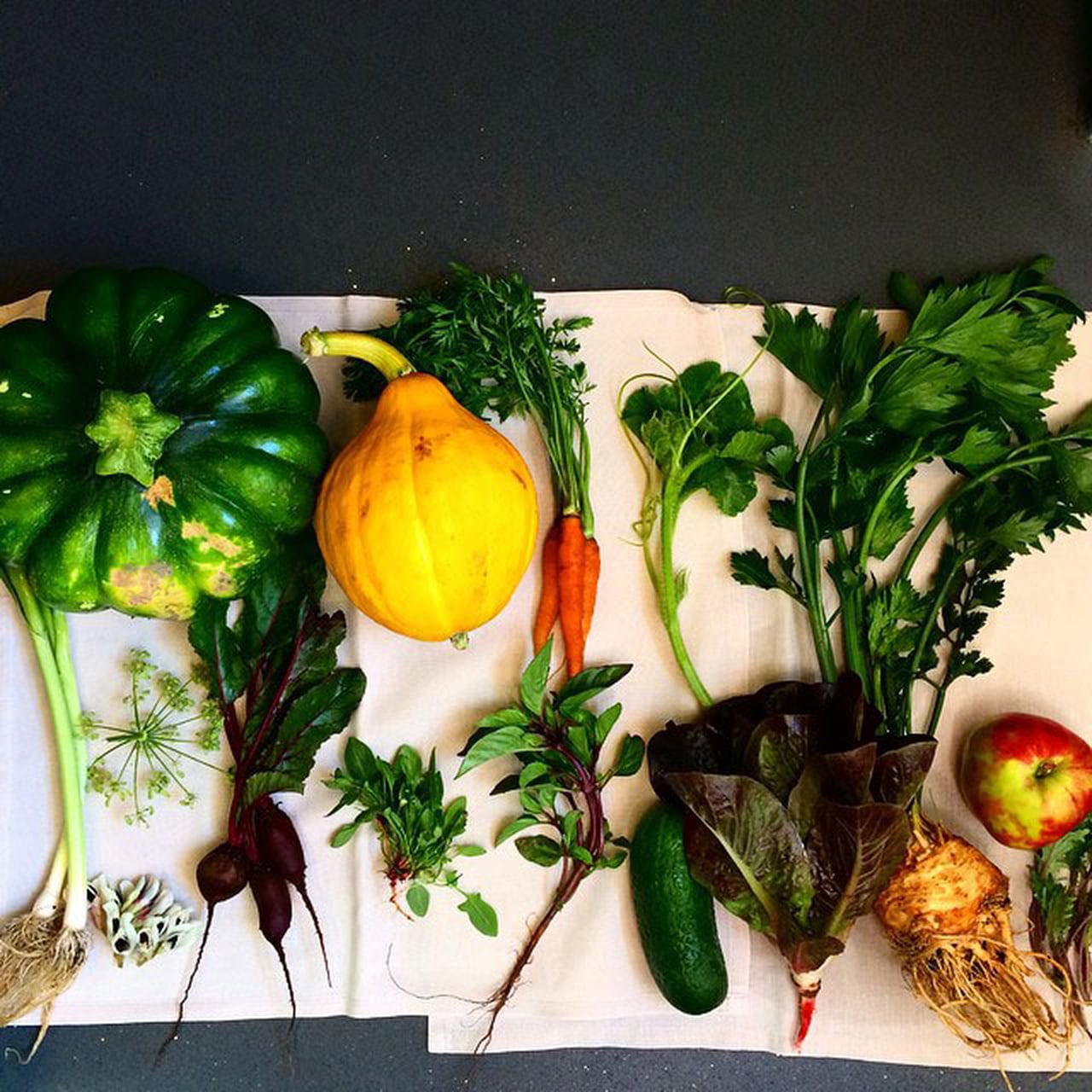 Best Chefs on Instagram | POPSUGAR Food