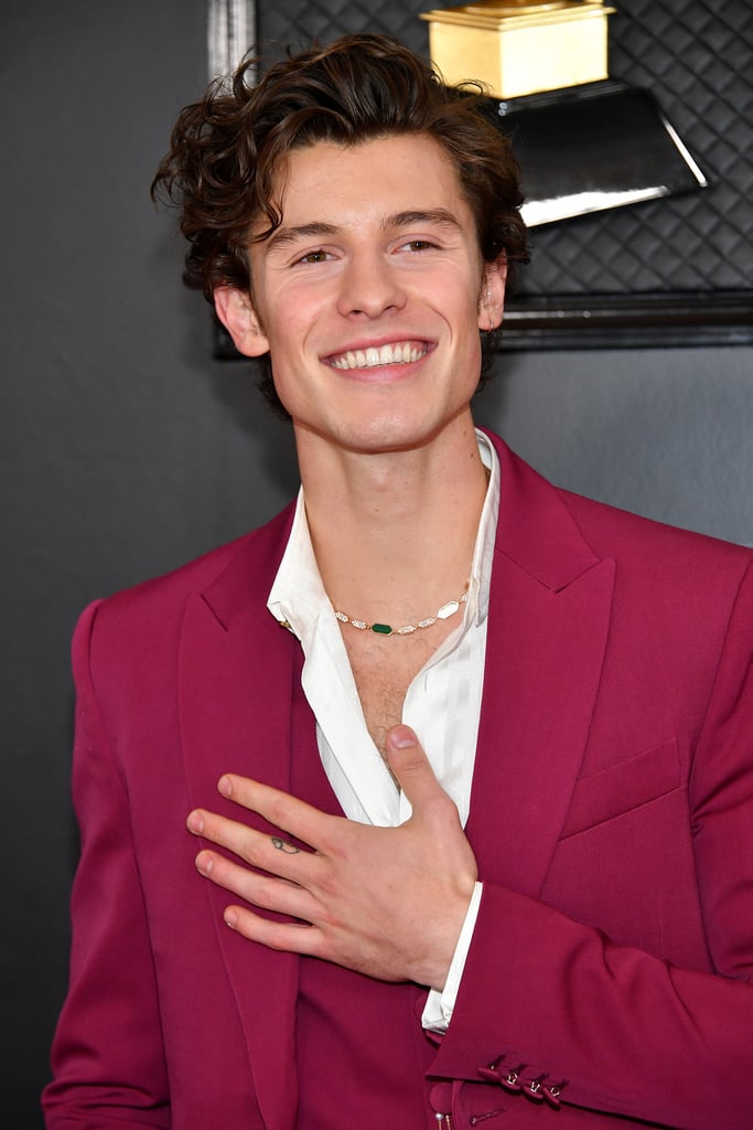 Shawn Mendes at the 2020 Grammys | See the Best Outfits From the 2020 ...