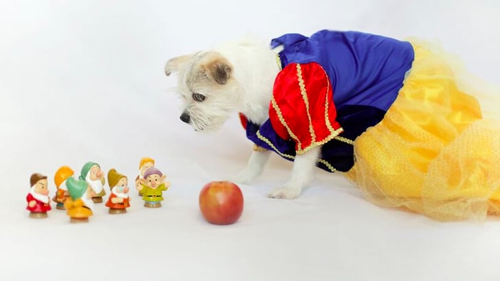 Dogs Dressed as Disney Princesses | POPSUGAR Pets
