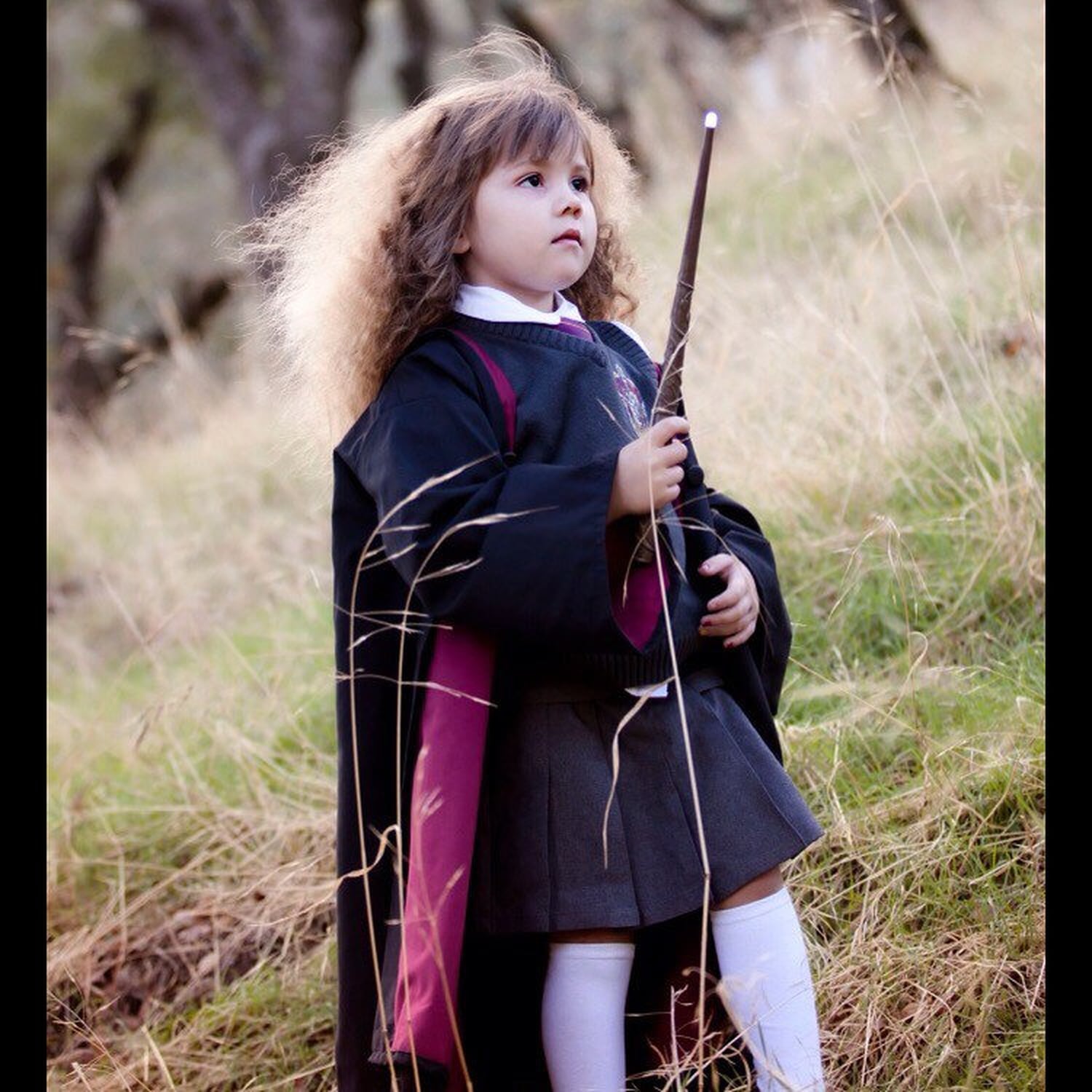 Easy DIY Harry Potter Halloween Costume Ideas | PS Family