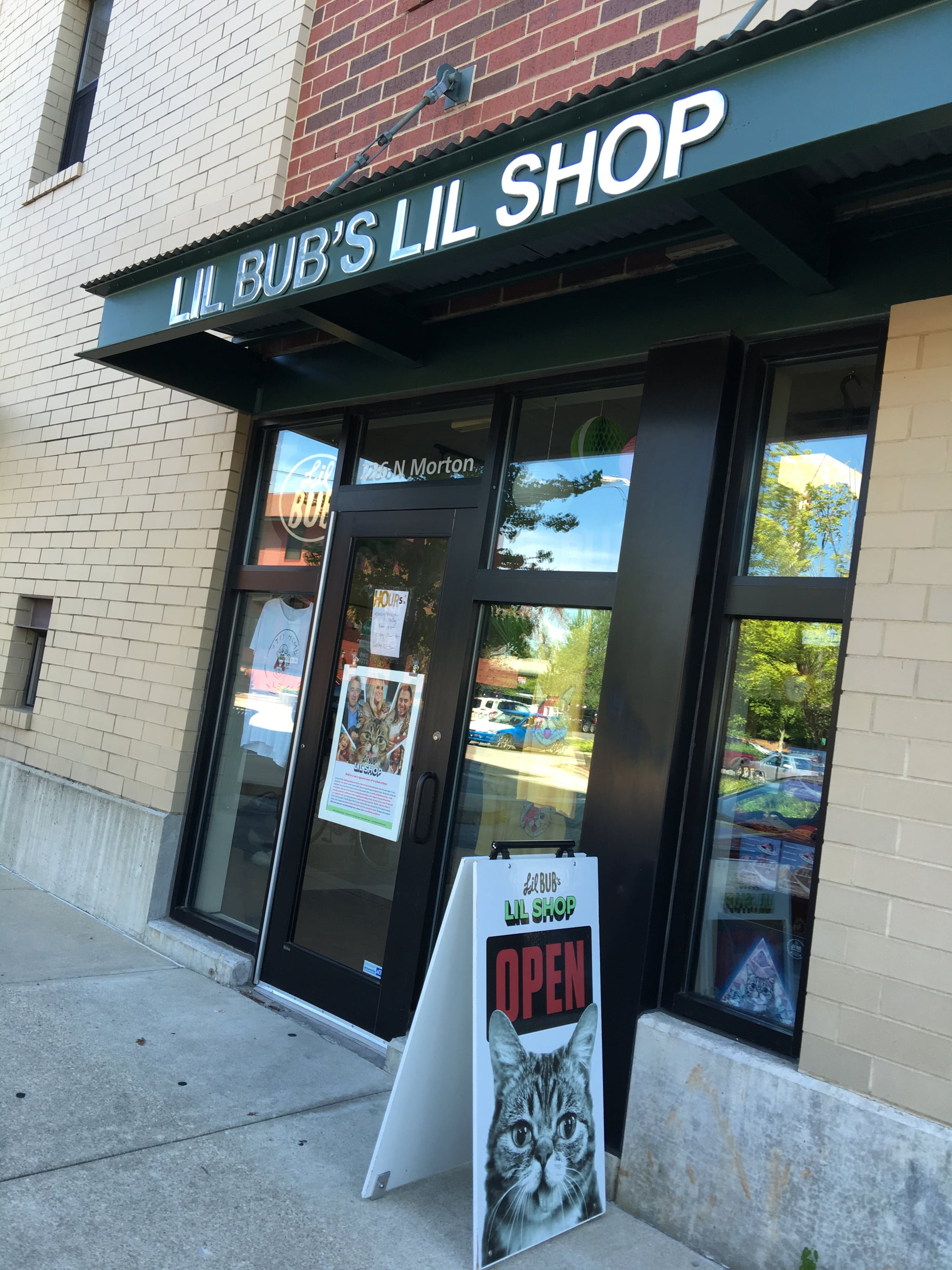 Facts About Lil Bub | POPSUGAR Tech