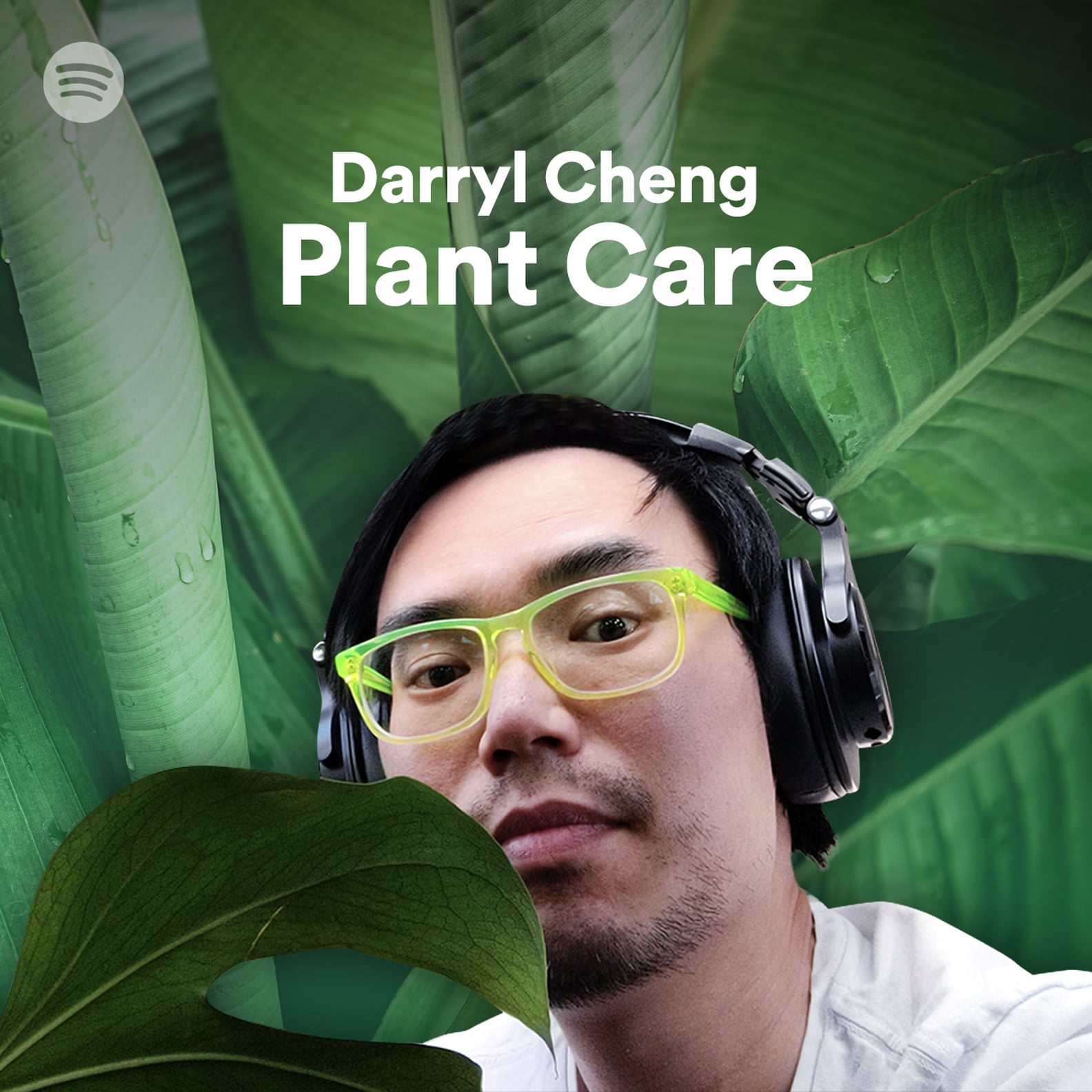 Listen to Spotify's Hub With Music and Tips For Plant Care | PS Smart ...