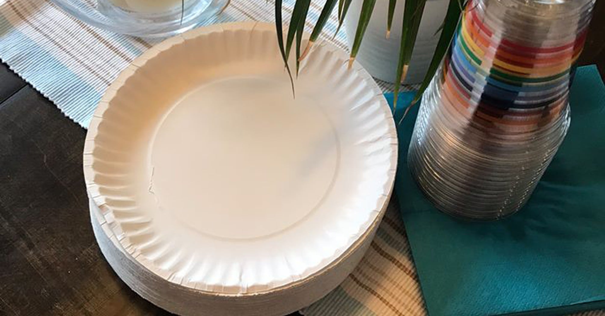 Why Moms Should Use Paper Plates For Meals | PS Family