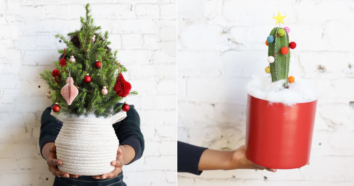 Best Live Tabletop Christmas Trees 2019 | PS UK Home