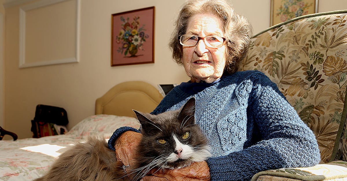 Cat Reunited With Owner | POPSUGAR Pets