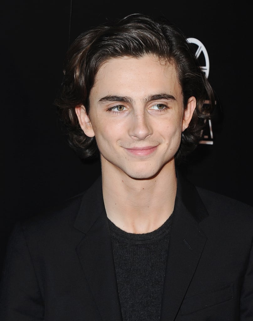 Hot Timothée Chalamet Pictures | POPSUGAR Celebrity UK Photo 9